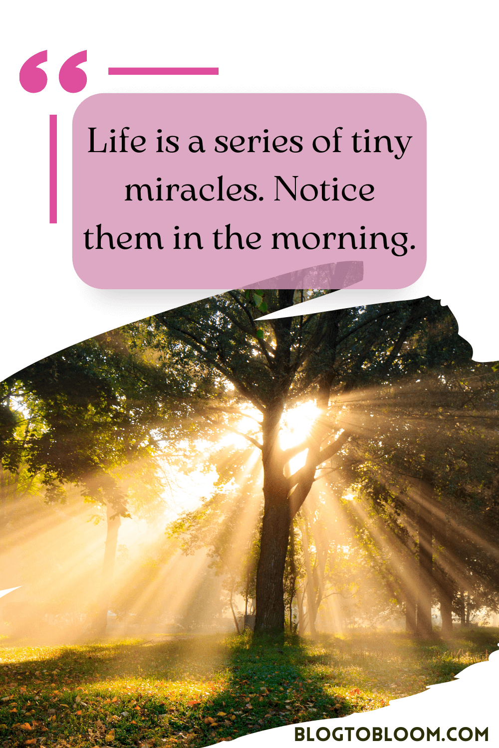 60+ Good Morning Quotes of Inspiration and Love With Pictures, Videos