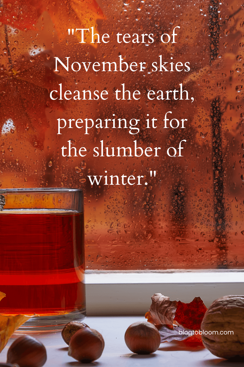 50+ Quotes on November to Welcome a Cozy Gratitude Month 🍁