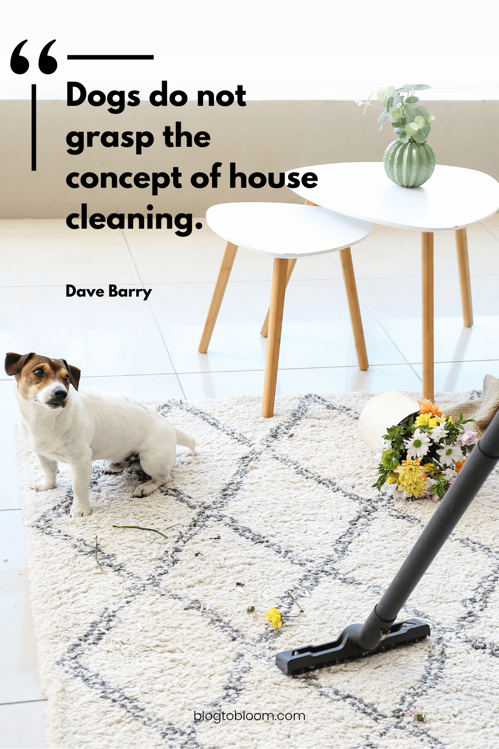 Quotes About Cleaning: Fun Sayings to Brighten Your Housework