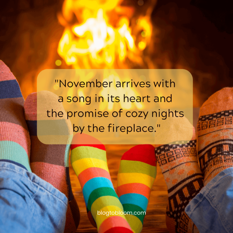 50+ Quotes on November to Welcome a Cozy Gratitude Month 🍁