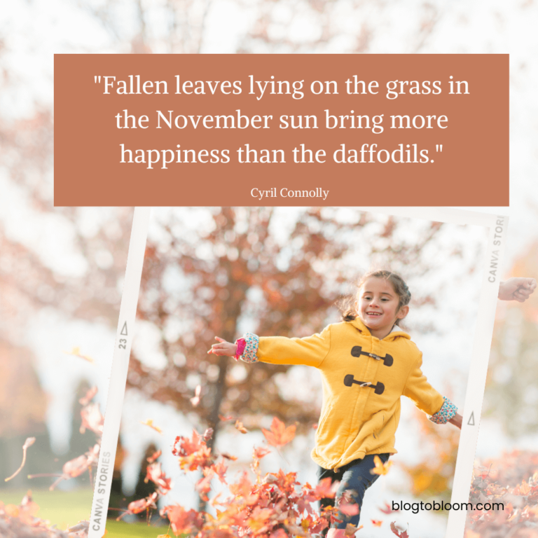 50+ Quotes on November to Welcome a Cozy Gratitude Month 🍁