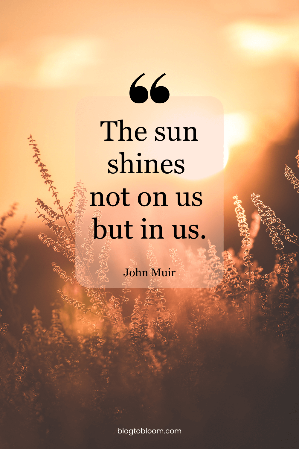 Strength Within Quotes: Finding Courage and Inspiration in Words