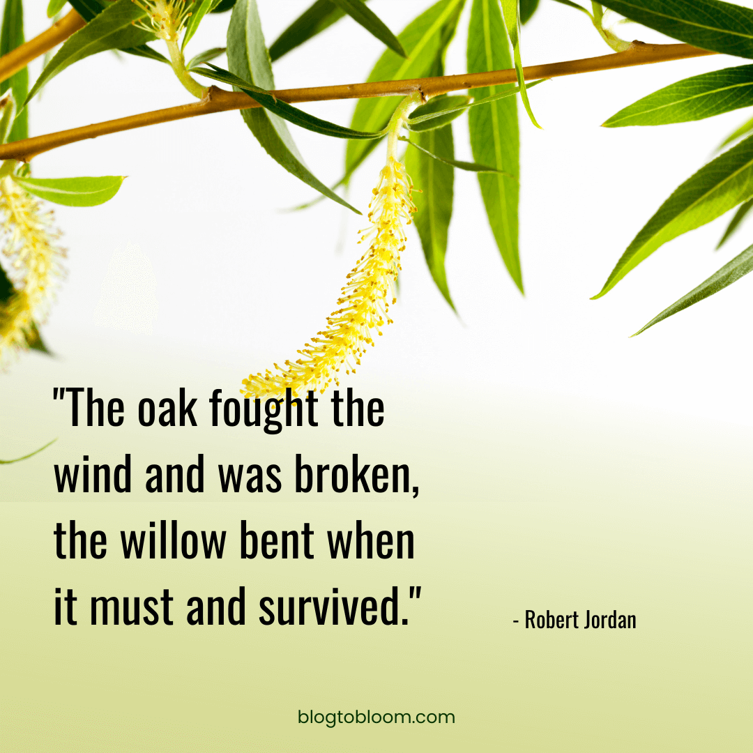 Strength Within Quotes: Finding Courage and Inspiration in Words