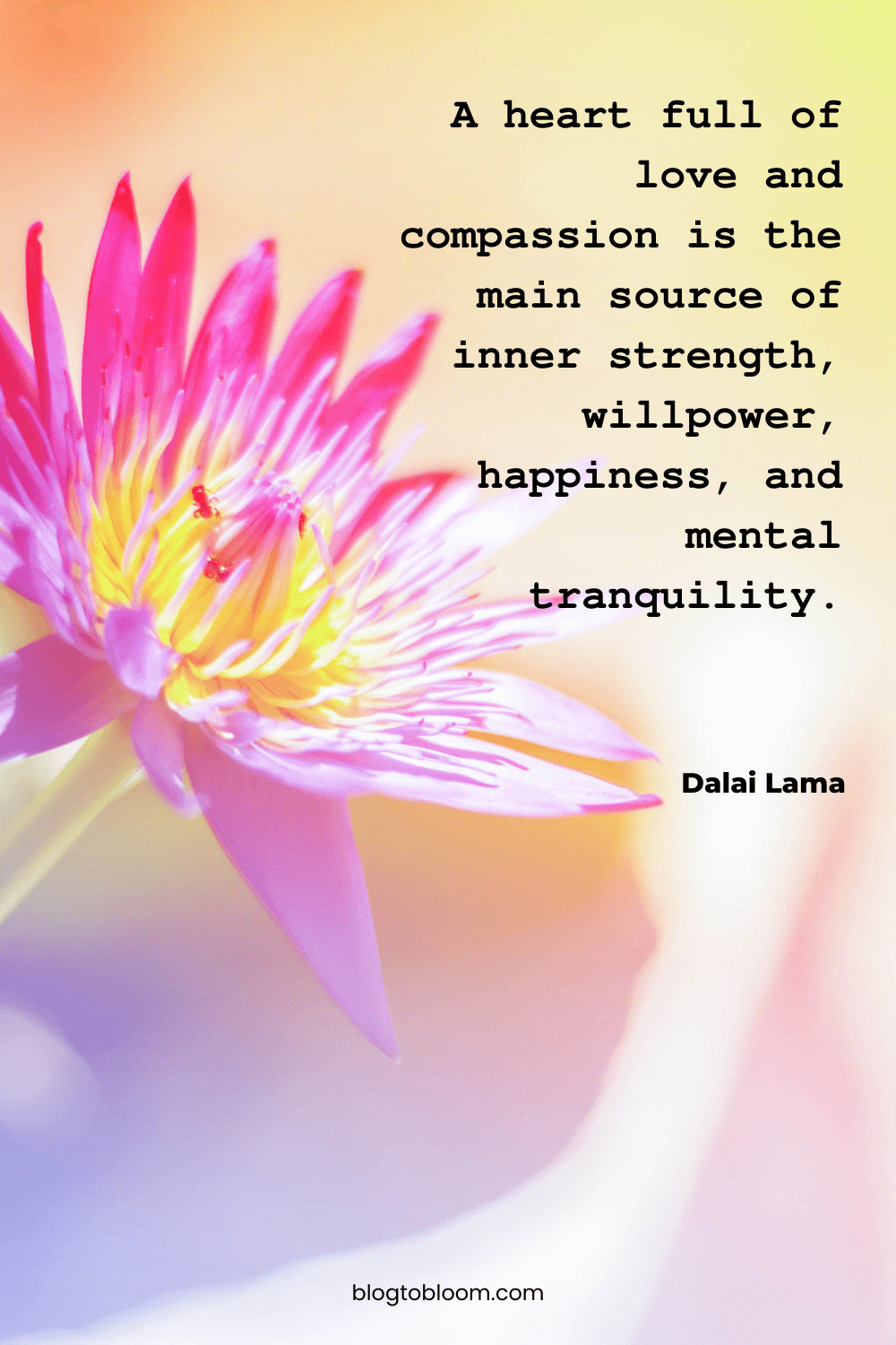 Strength Within Quotes: Finding Courage and Inspiration in Words
