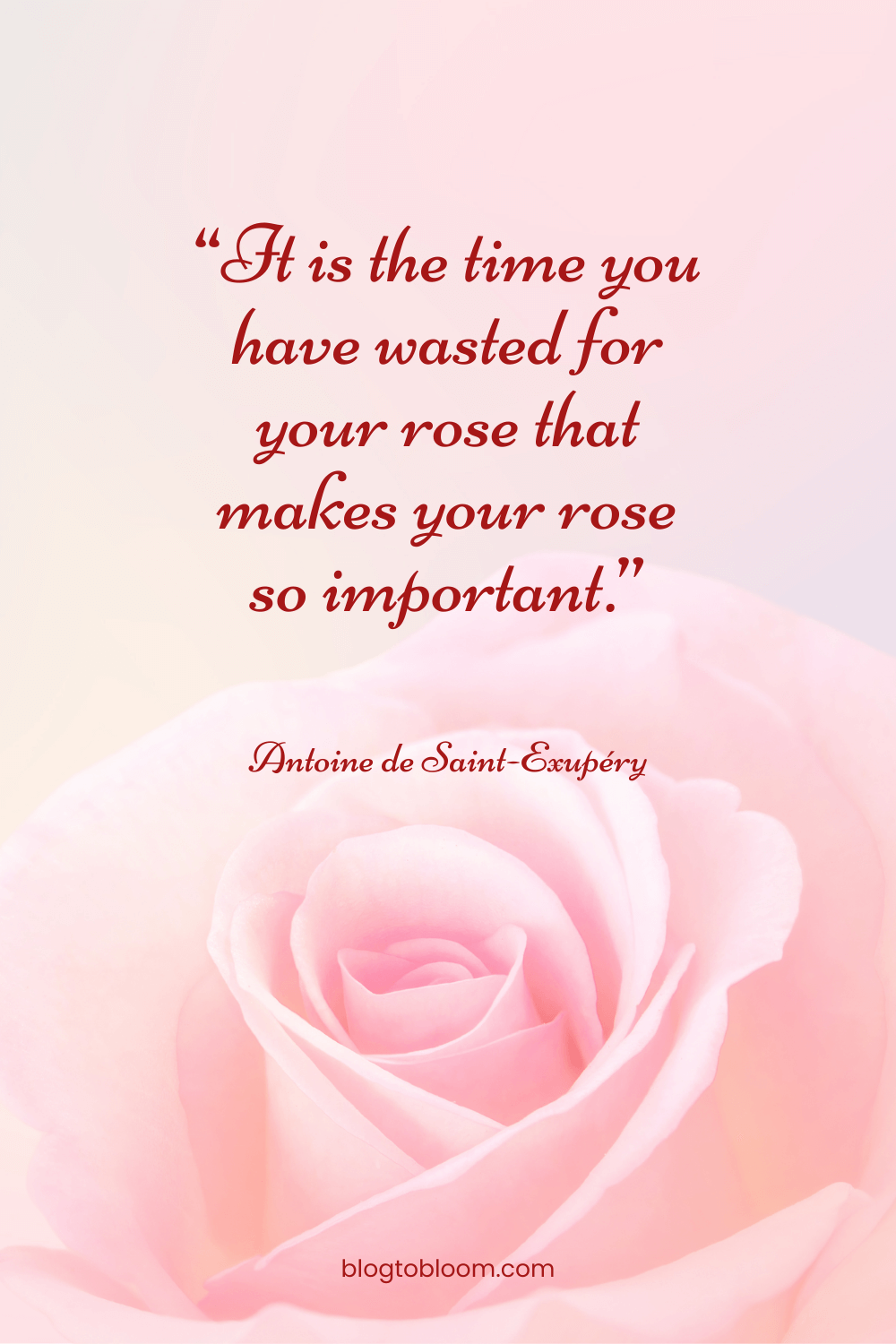 56 Best Valentine's Day Quotes for Every Heart - Blog to Bloom