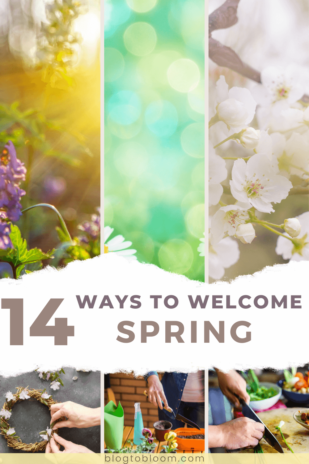 14 Best and Unique Ways to Welcome the Spring Season - Blog to Bloom