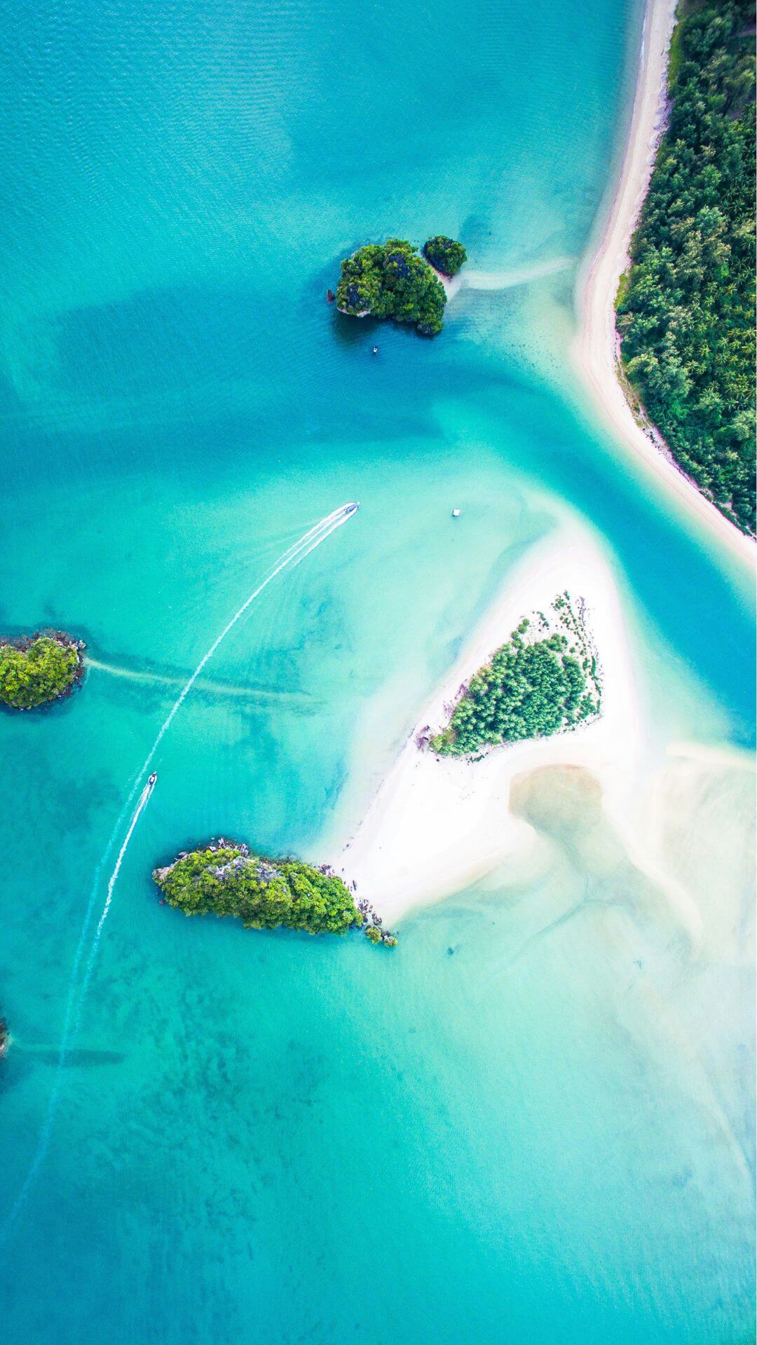 25 Free Summer Wallpapers for iPhone to Evoke Summer Vibes - Blog to Bloom