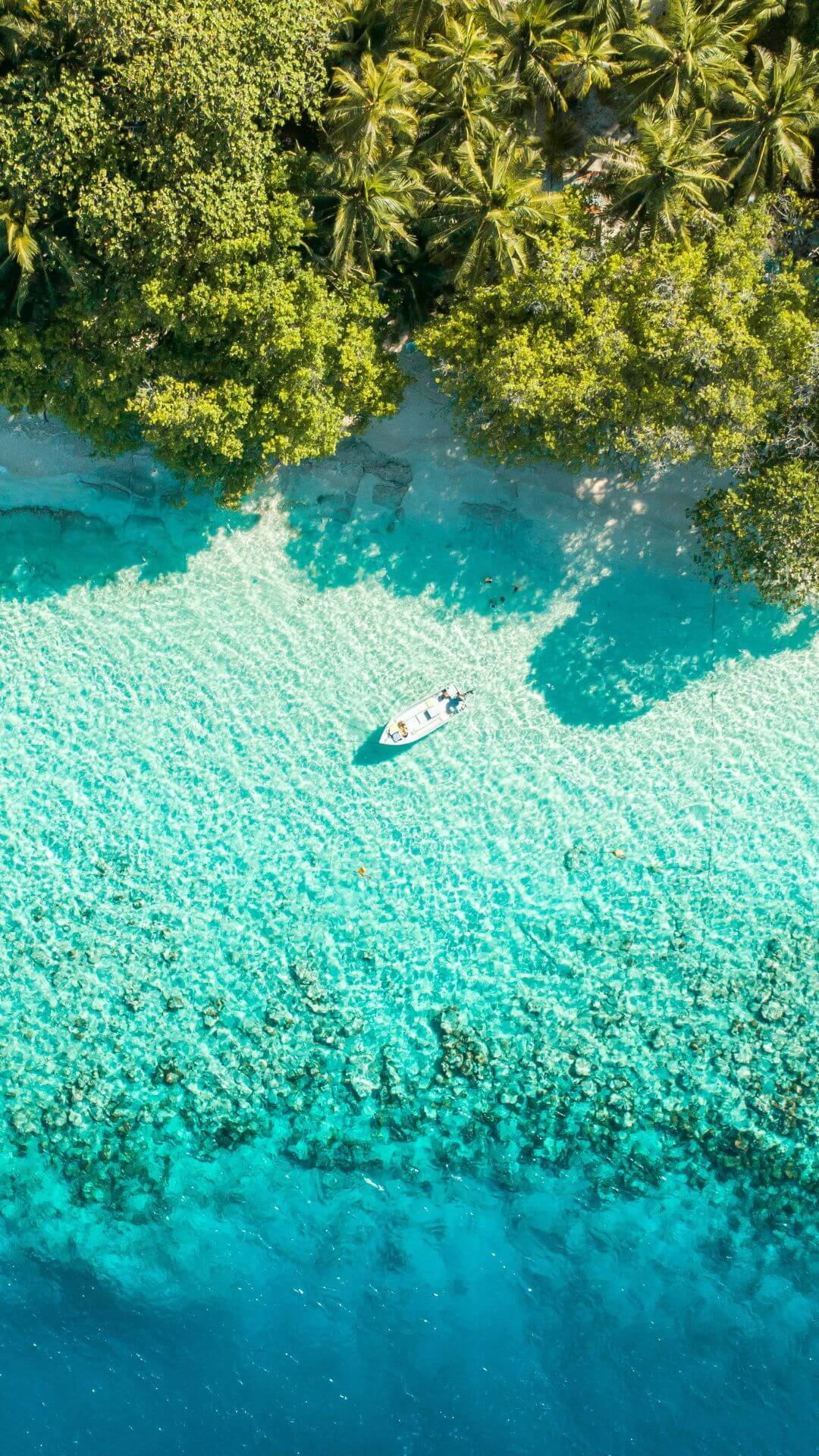 25 Free Summer Wallpapers for iPhone to Evoke Summer Vibes - Blog to Bloom