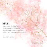 39 Hello May Quotes to Embrace the Blossoms of Time - Blog to Bloom