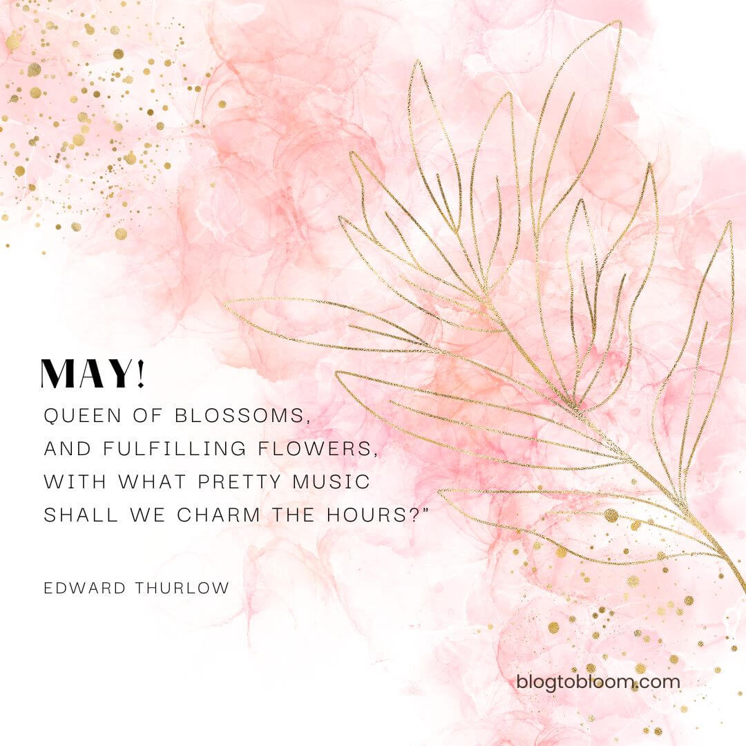 39 Hello May Quotes to Embrace the Blossoms of Time - Blog to Bloom