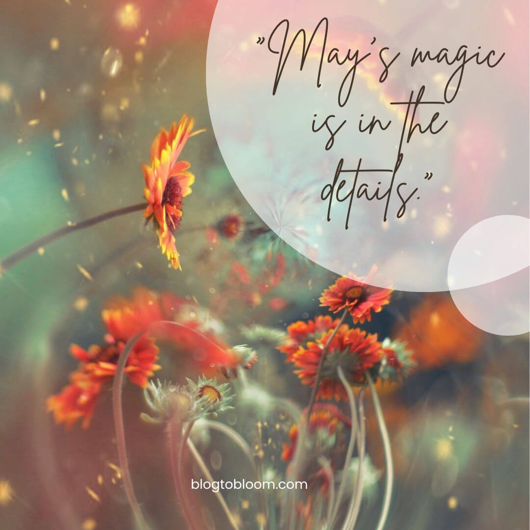 39 Hello May Quotes to Embrace the Blossoms of Time - Blog to Bloom