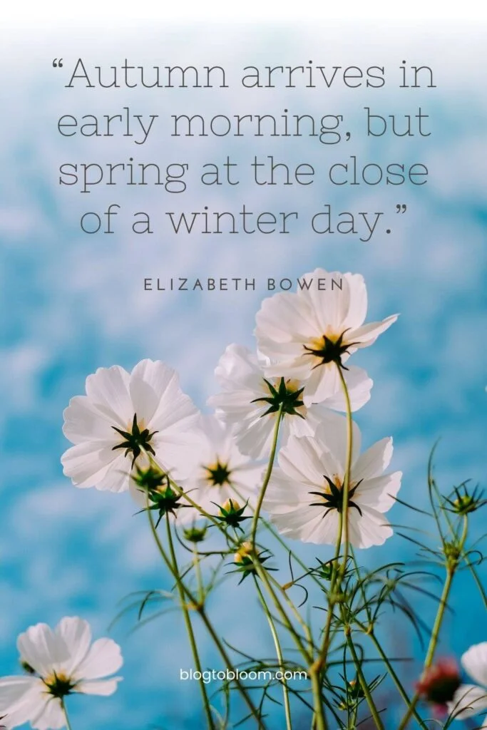 Hello Spring Quotes Welcome Spring Quotes. Hand Draw Cute Flower And