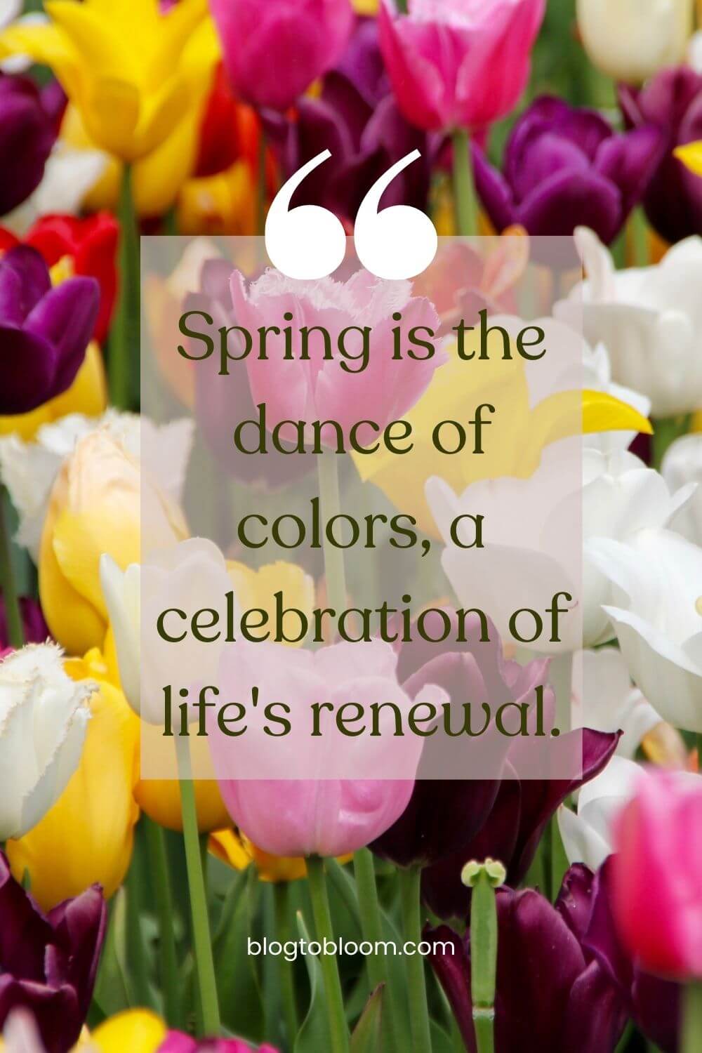47 Quotes on April to Welcome Spring and Be Inspired