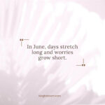 40 June Quotes and Captions to Welcome Sun-Kissed Days - Blog to Bloom