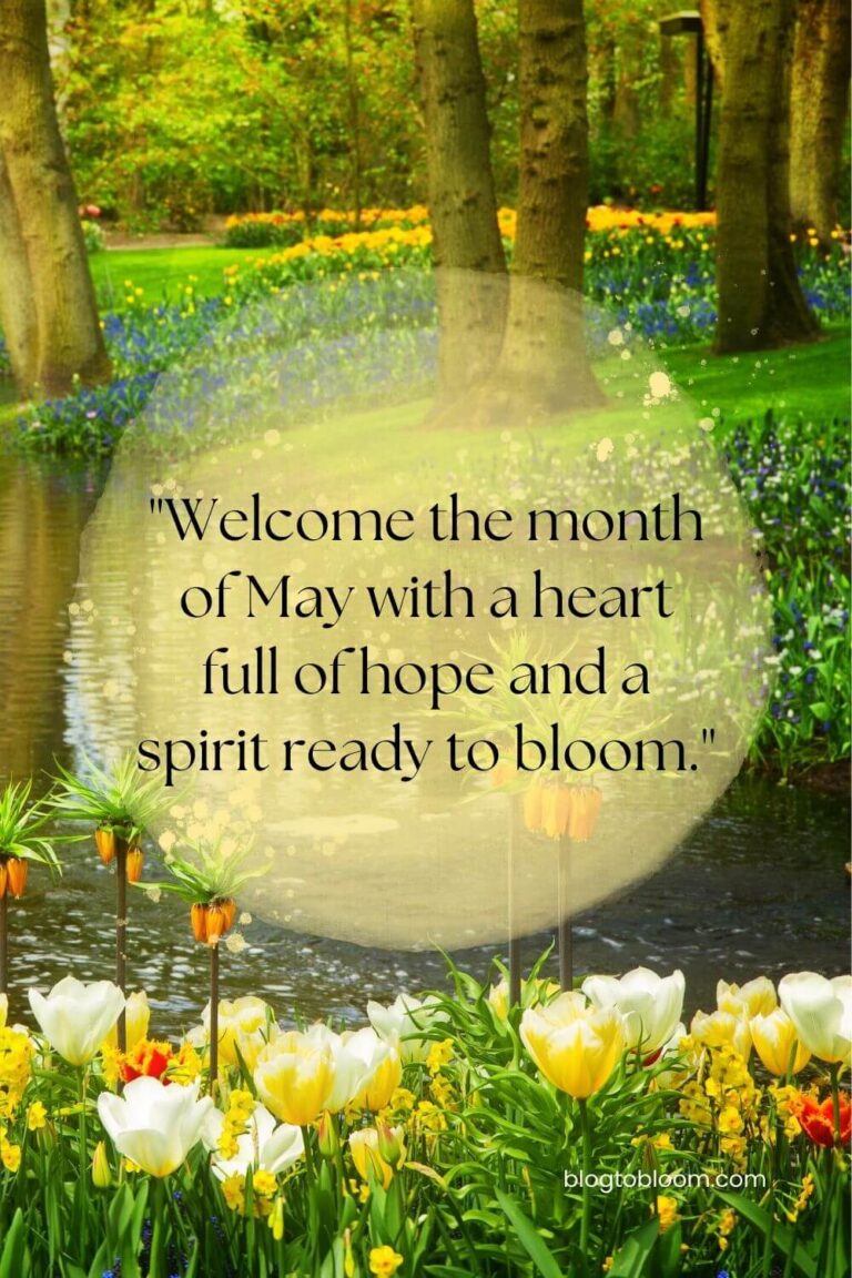39 Hello May Quotes to Embrace the Blossoms of Time - Blog to Bloom