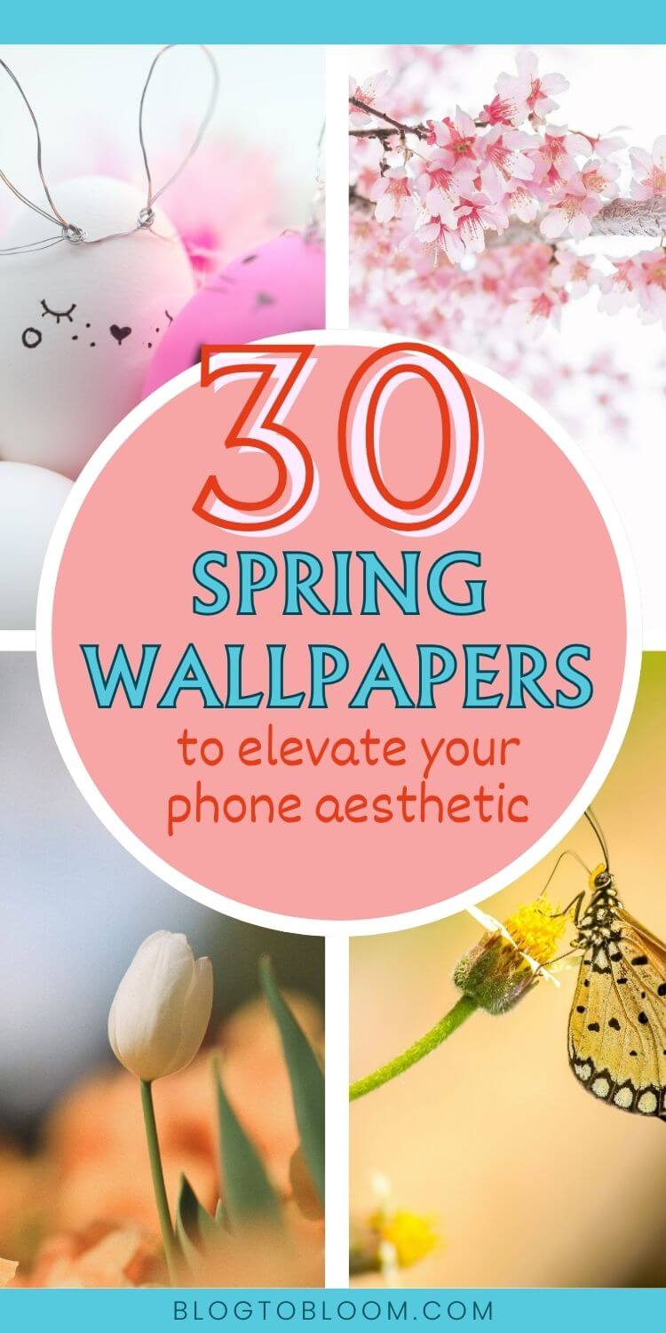 30 Free Spring Wallpapers for iPhone to Elevate Your Aesthetic - Blog ...