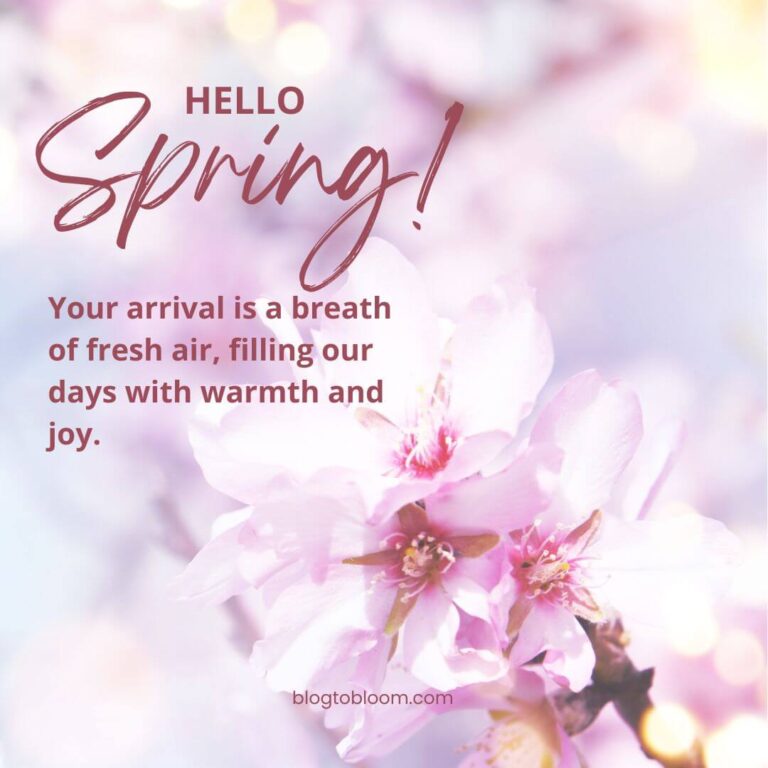 49 Hello Spring Quotes to Celebrate Renewal & Rejuvenation