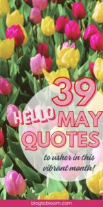 39 Hello May Quotes to Embrace the Blossoms of Time - Blog to Bloom