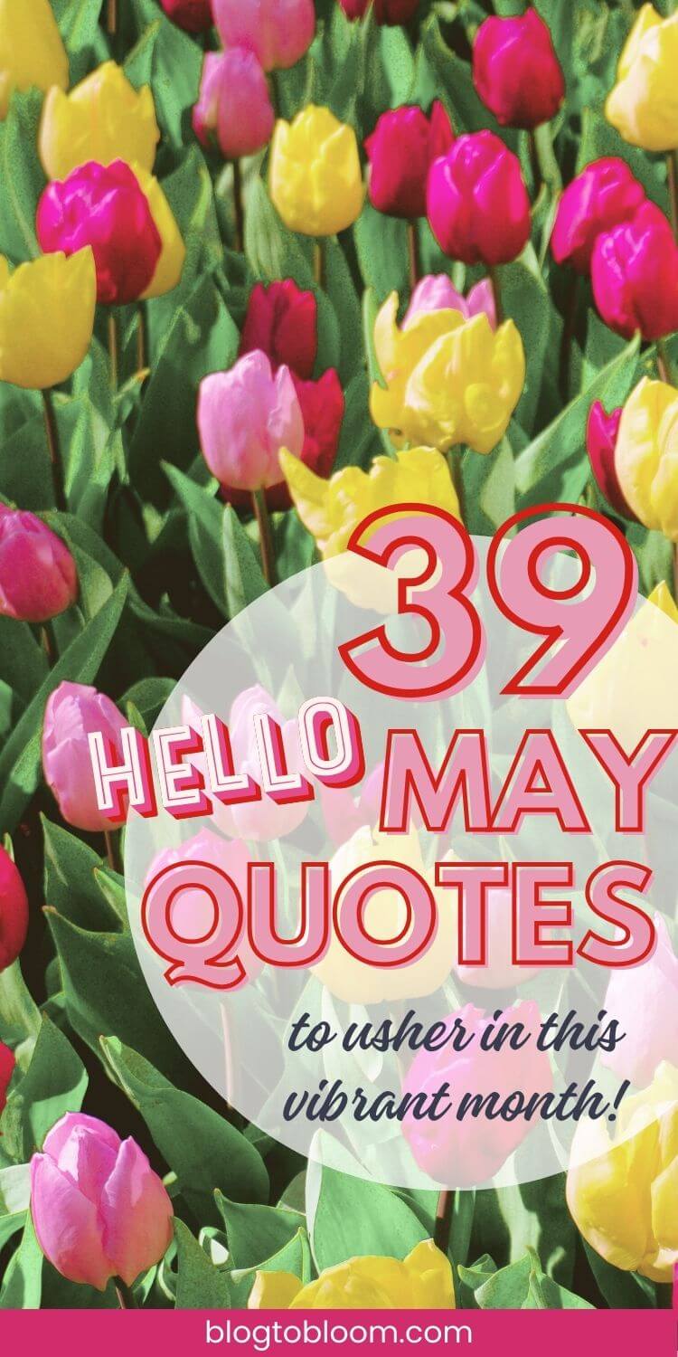 39 Hello May Quotes to Embrace the Blossoms of Time - Blog to Bloom