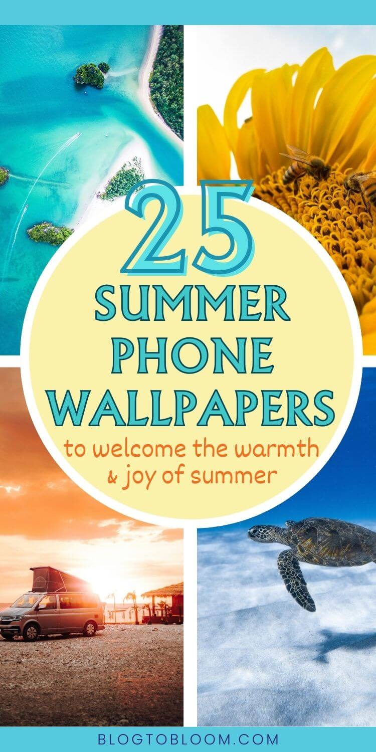 25 Free Summer Wallpapers for iPhone to Evoke Summer Vibes - Blog to Bloom